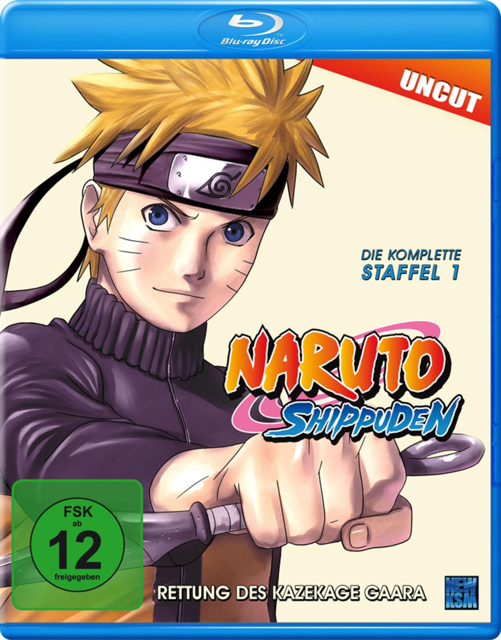 Naruto Shippuden | Rettung des Kazekage Gaara - Staffel 01: Folge 221 ...