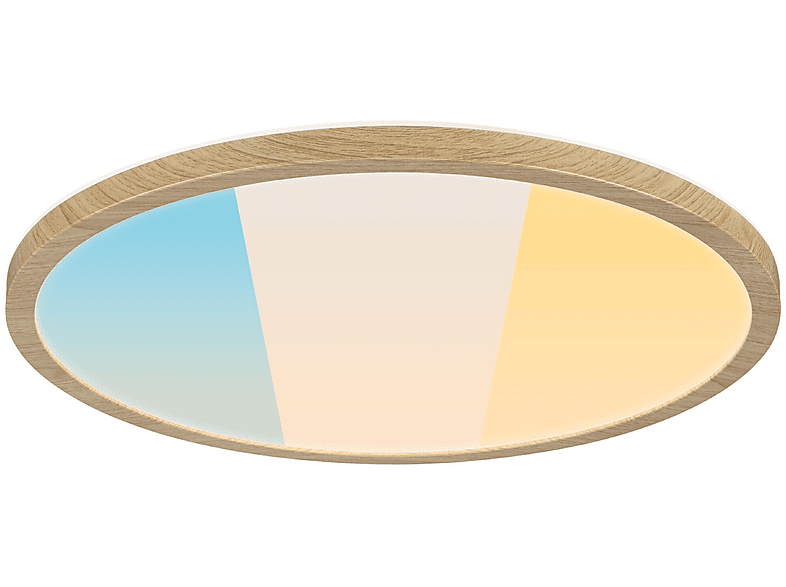 PAULMANN LICHT Atria Shine (71260) LED Panel White Switch | MediaMarkt