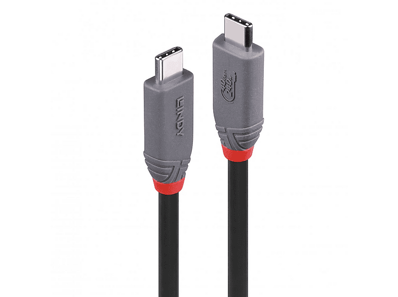 Cavo USB Type C LINDY 2 m USB4 Gen 3x2 da USB C a USB C | MediaWorld.it