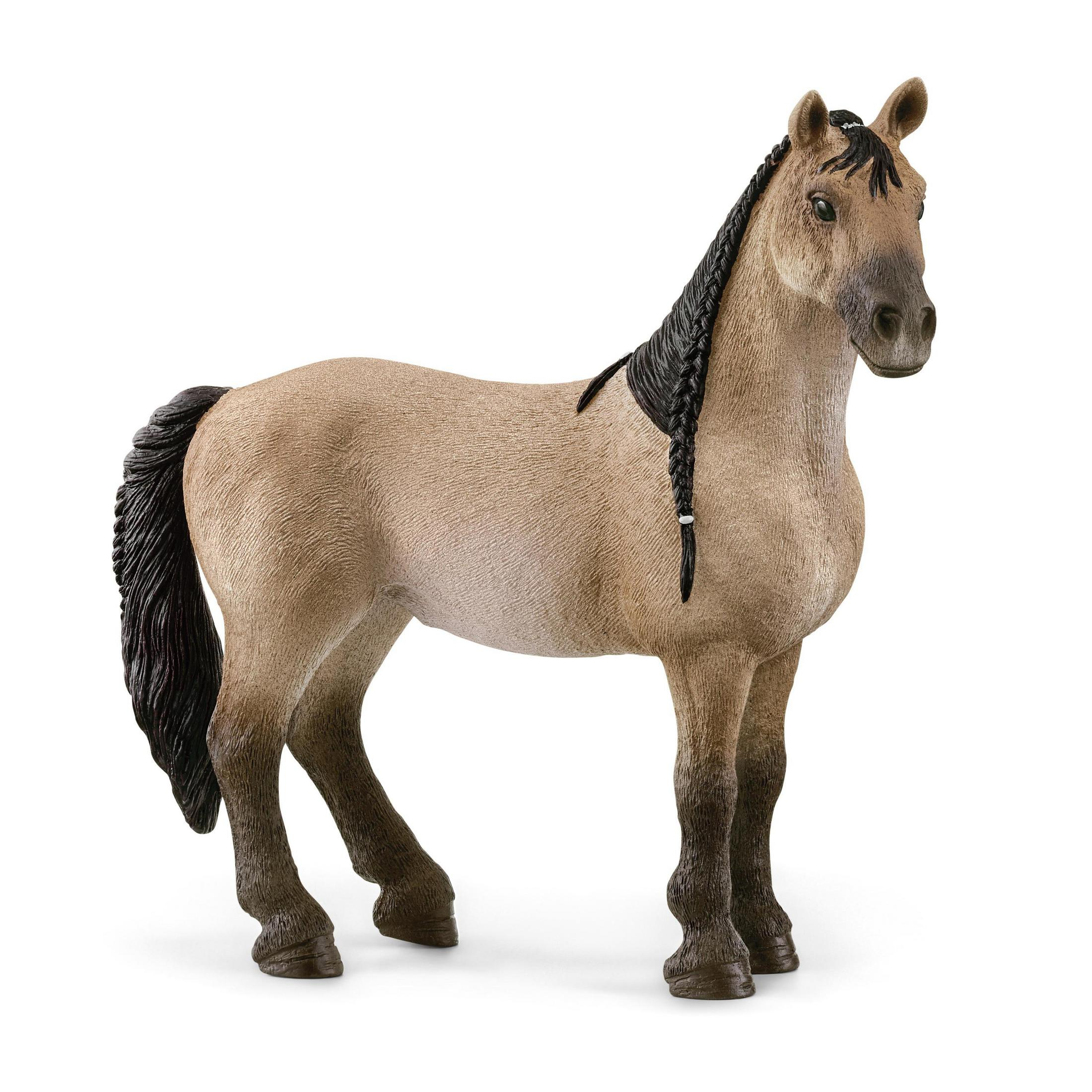 SCHLEICH 13948 CRIOLLO DEFINITIVO STUTE Spielfigur | MediaMarkt