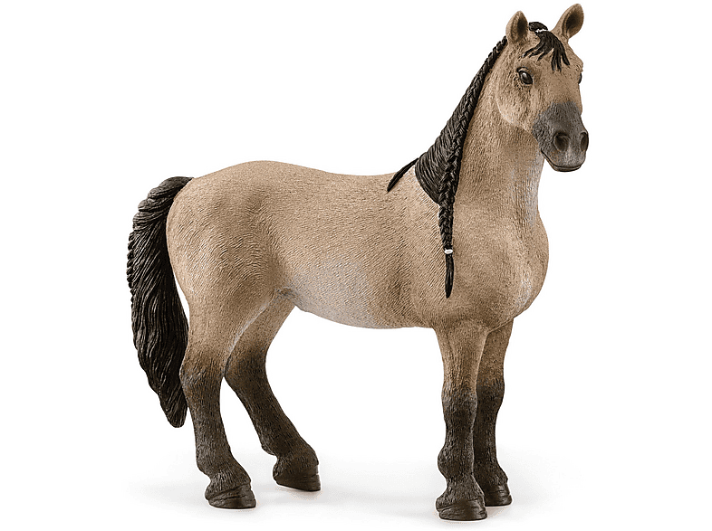 SCHLEICH 13948 CRIOLLO DEFINITIVO STUTE Spielfigur | MediaMarkt