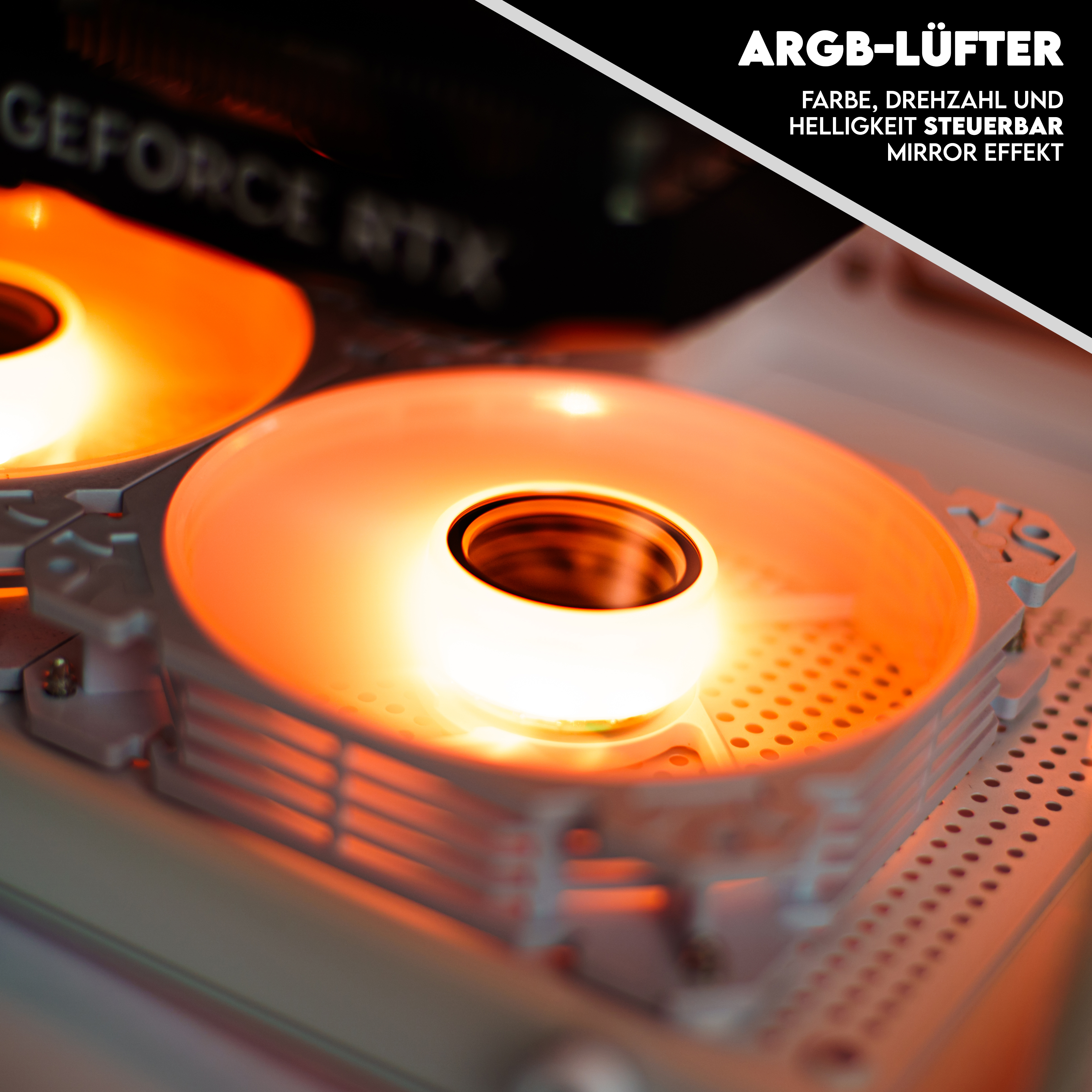 OCTANE SYSTEMS VENOM Black Wasserkühlung, FULL RGB, WLAN, Gaming PC mit ...