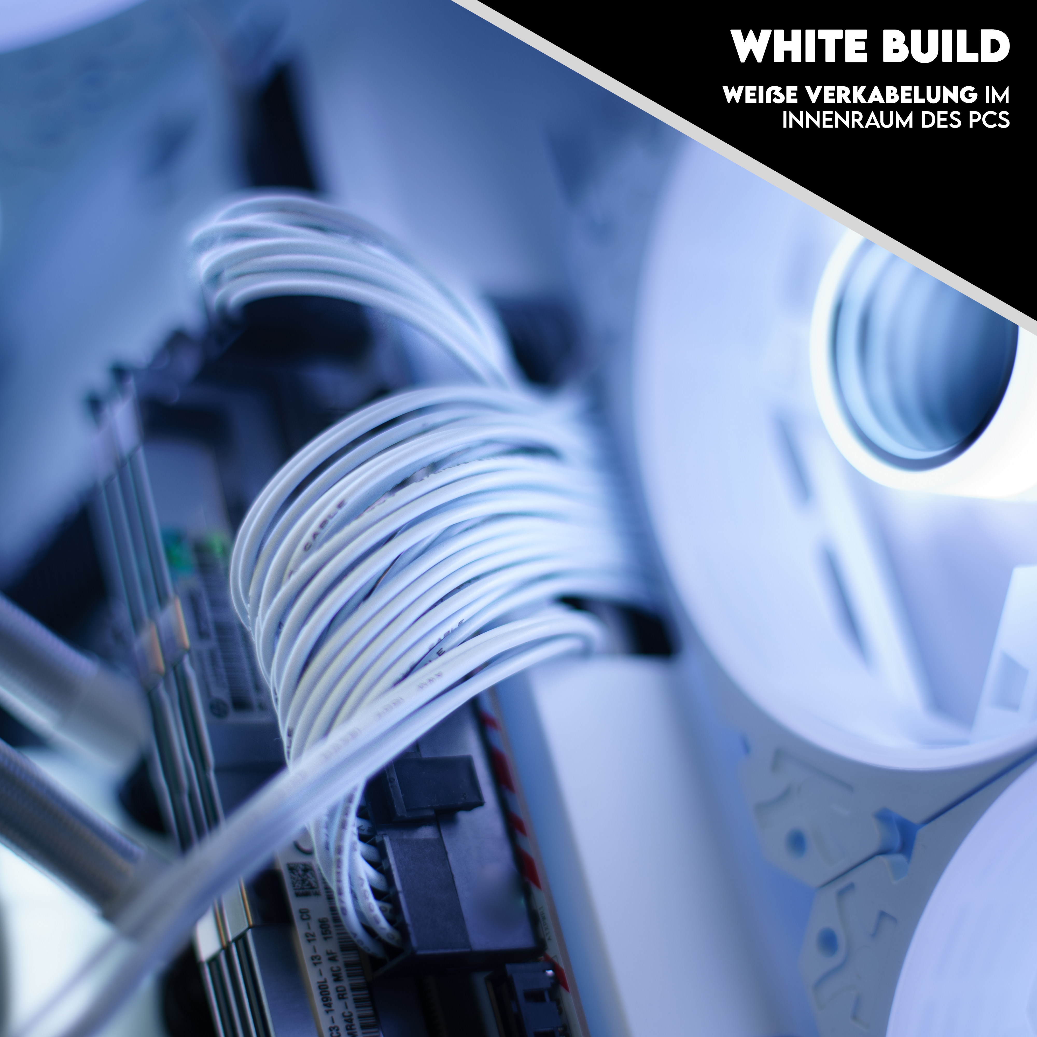 OCTANE SYSTEMS VENOM Black Wasserkühlung, FULL RGB, WLAN, Gaming PC mit ...