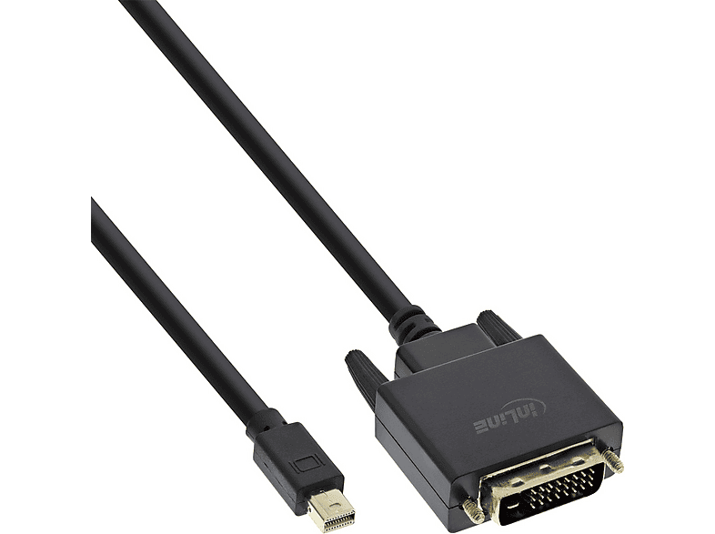 INLINE InLine® Mini DisplayPort zu DVI Konverter Kabel, schwarz, 0,5m ...