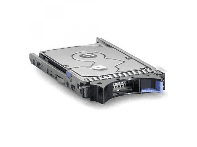 HARD DISK INTERNO IBM 00Y8861 | MediaWorld.it