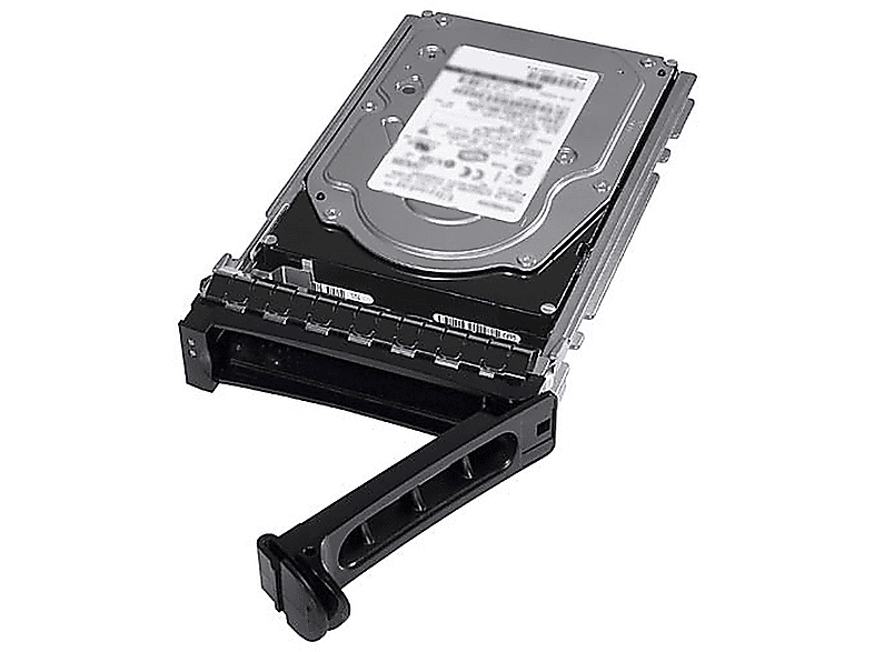 HARD DISK INTERNO DELL R95FV | MediaWorld.it