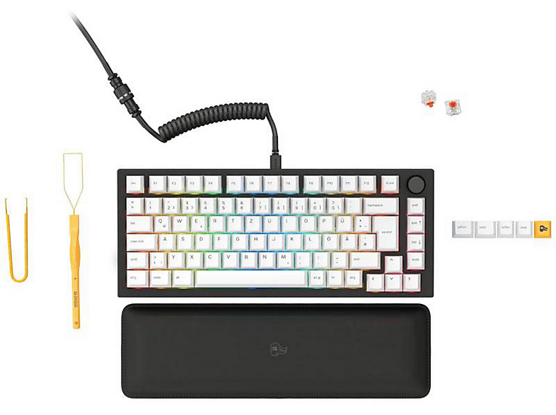 GLORIOUS PC GAMING RACE GMMK Pro Pre-built, Gaming Tastatur, Mechanisch ...
