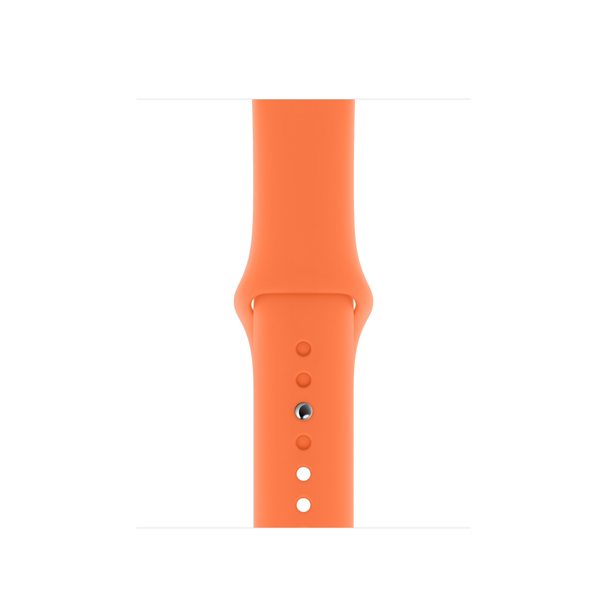 APPLE AW40 MXP42Z SPORT BAND VITAMIN C, Armband, Apple, Watch (40 mm ...