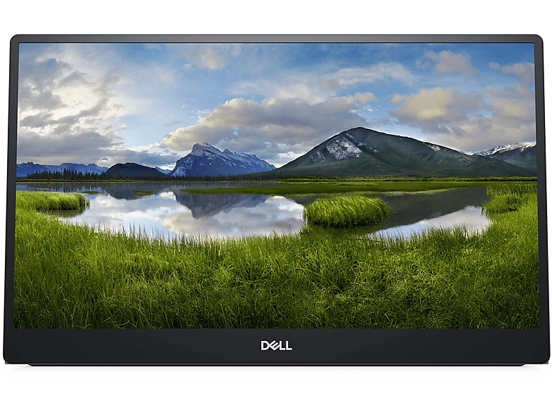 DELL P1424H Portable 14 Zoll Full-HD Business Monitor (6 ms ...