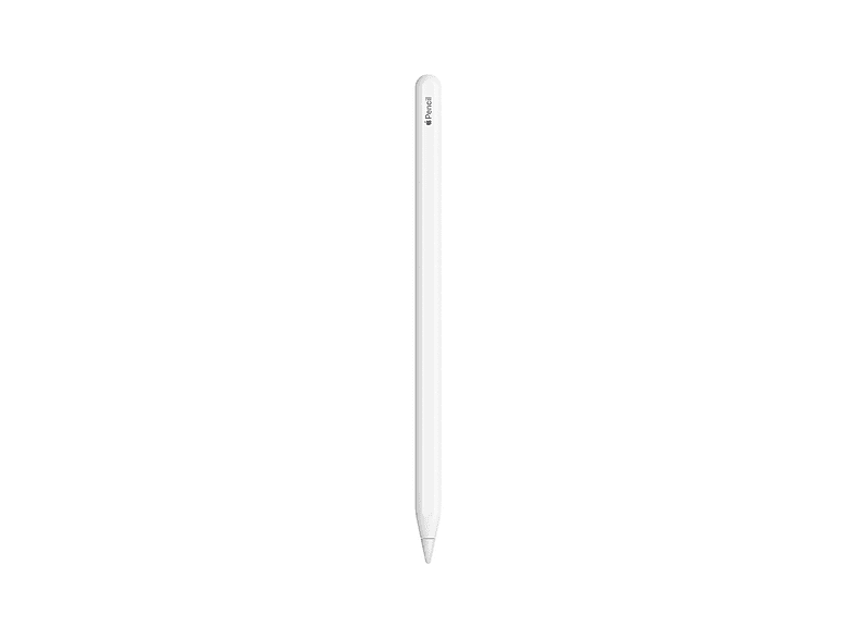 APPLE Stylus pen Pencil (2nd Generation) | MediaWorld.it