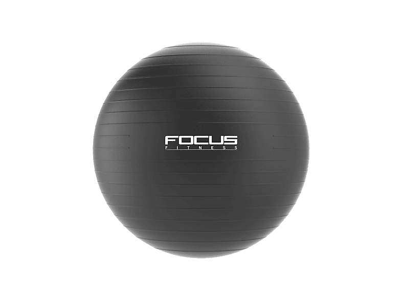 FOCUS FITNESS Gym Ball | 65 cm Gym Ball | MediaMarkt