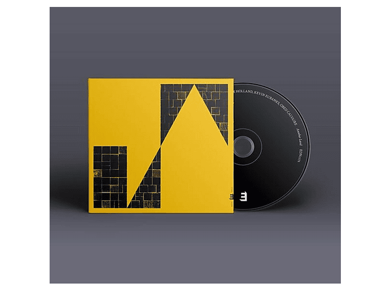 Dave Holland, Kevin Eubanks, Obed Calvaire | Another Land | MediaMarkt