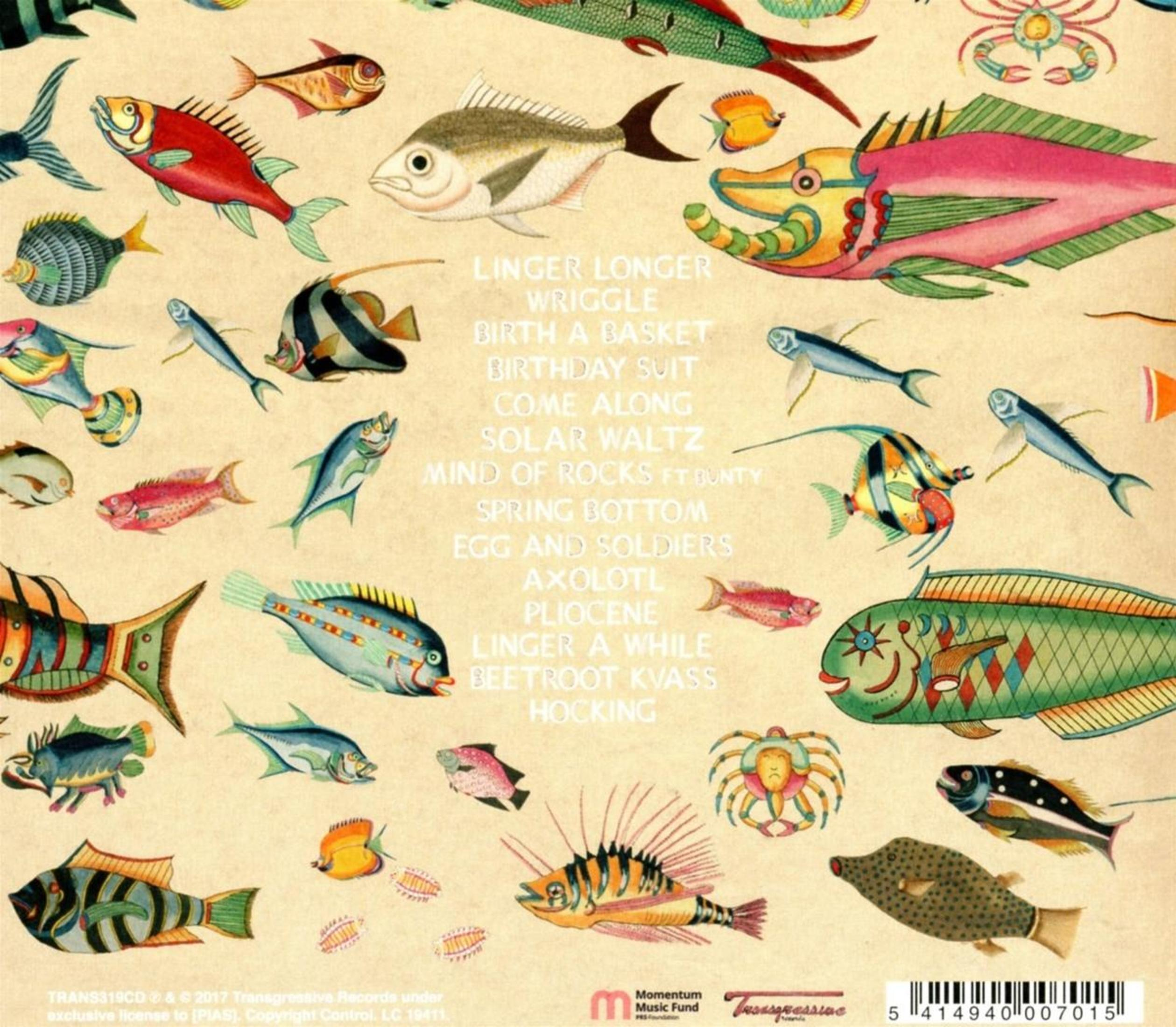 Cosmo Sheldrake | THE MUCH MUCH HOW HOW AND I - (CD) | MediaMarkt