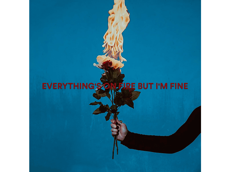 As December Falls | Everythings On Fire But Im Fine | MediaMarkt