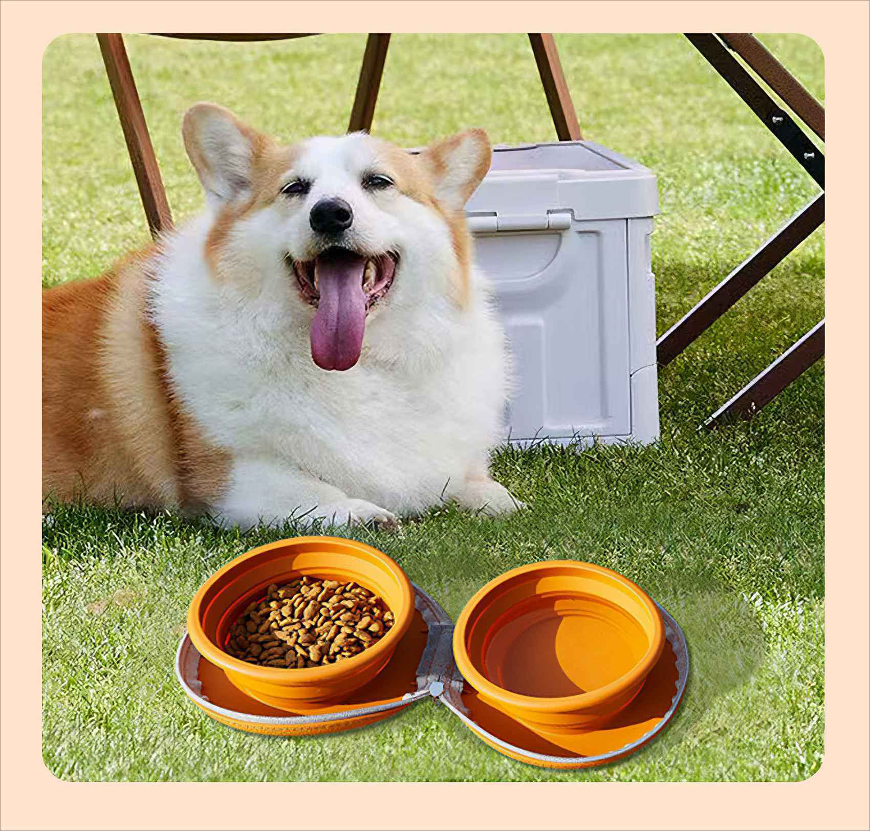 UWOT Faltbares Doppel-System Silikon Futternapf | MediaMarkt