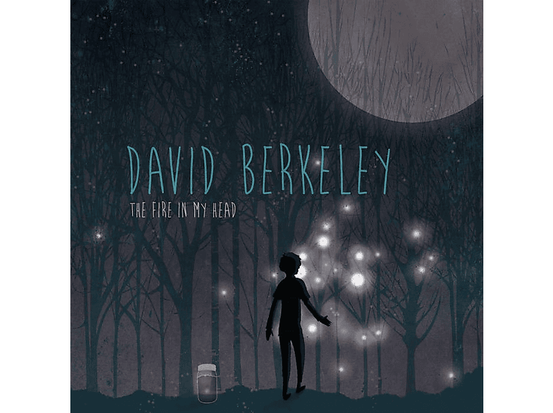 David Berkeley | The Fire In My Head | MediaMarkt