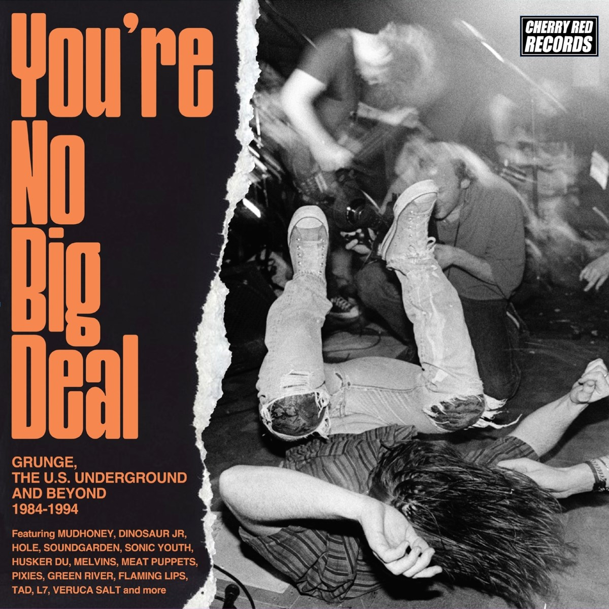 Various Artists | You're No Big Deal: Grunge, The U.S. Underground And ...
