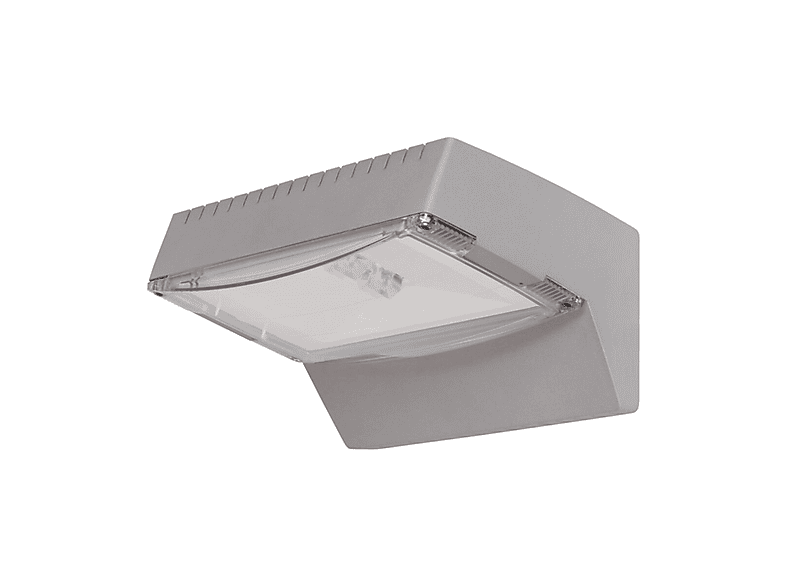 ICEAGLE Ceag Notlichtsysteme LED-Einzelbatterie-Leuchte m.autom. Funkt ...
