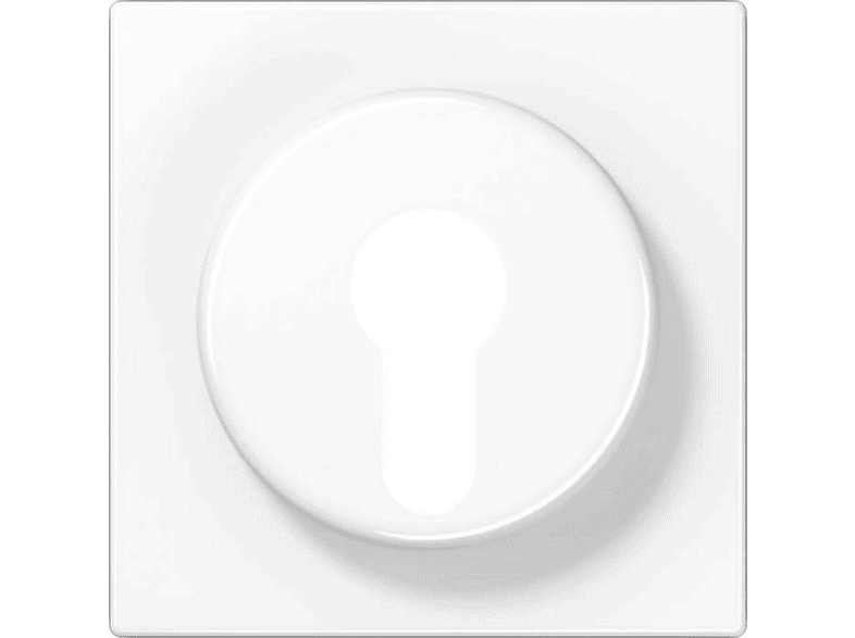 JUNG Jung Abdeckung aws für Schlüsselschalt. LS 928 WW Abdeckung ...