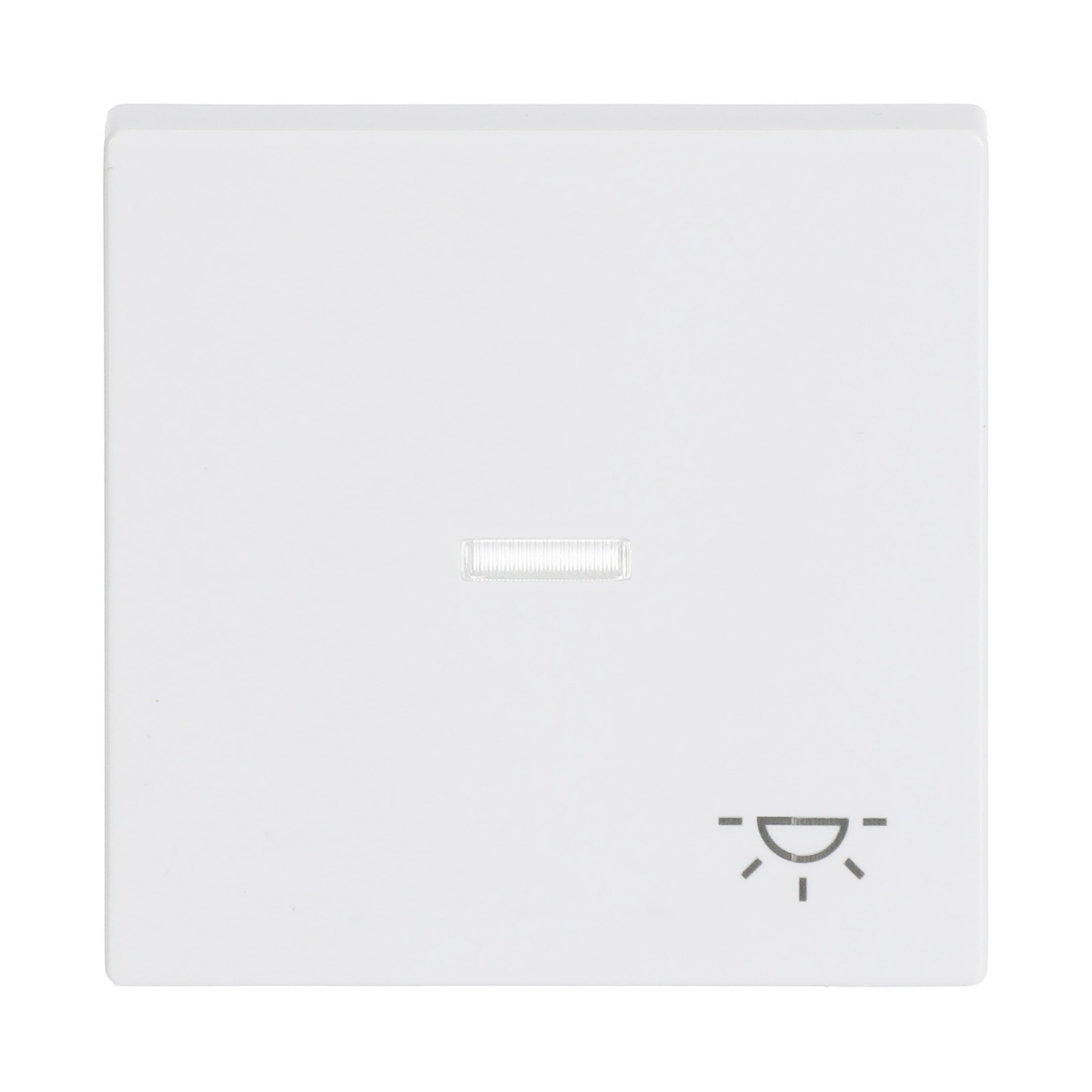 BUSCH-JAEGER Busch-Jaeger Wippe dav/sws mit Symbol Licht 1789 LI-84 ...