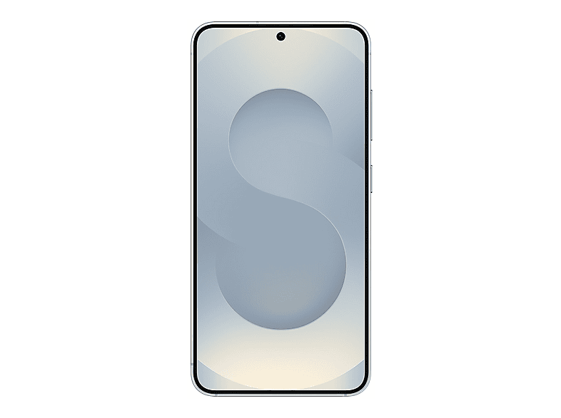 SAMSUNG Wind Tre Galaxy S25 256 GB Silber Dual SIM | MediaMarkt