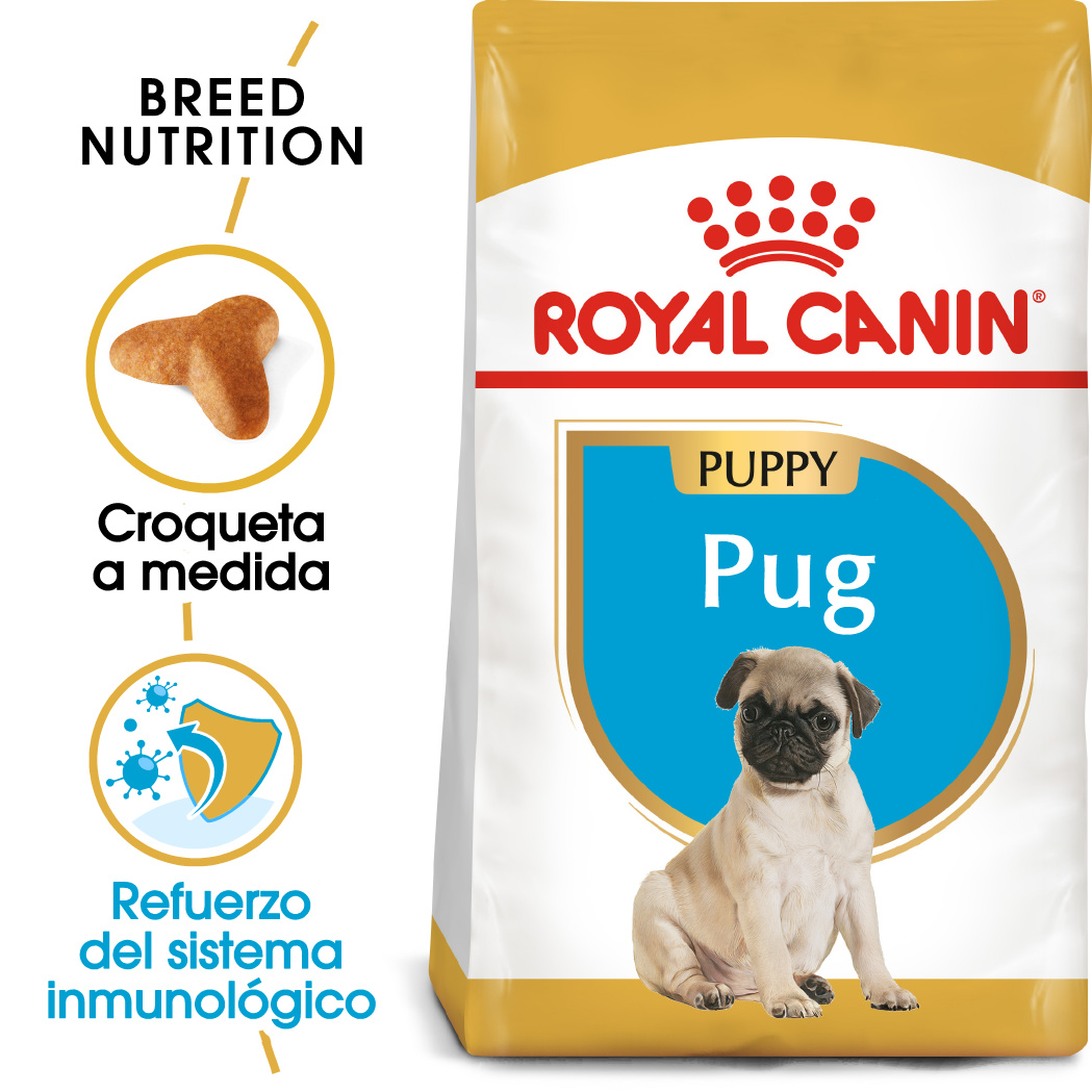 Pug Puppy Pienso para Cachorro Carlino | MediaMarkt