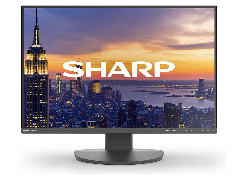 SHARP DD-EA242W MultiSync MONITOR, 24 ", Full-HD, 1920 x 1200 Pixel ...