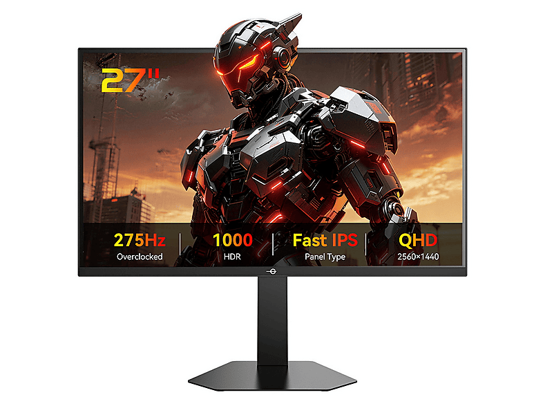 TITAN ARMY P276MS 27 Zoll QHD+ Gaming Monitor (1 ms Reaktionszeit ...