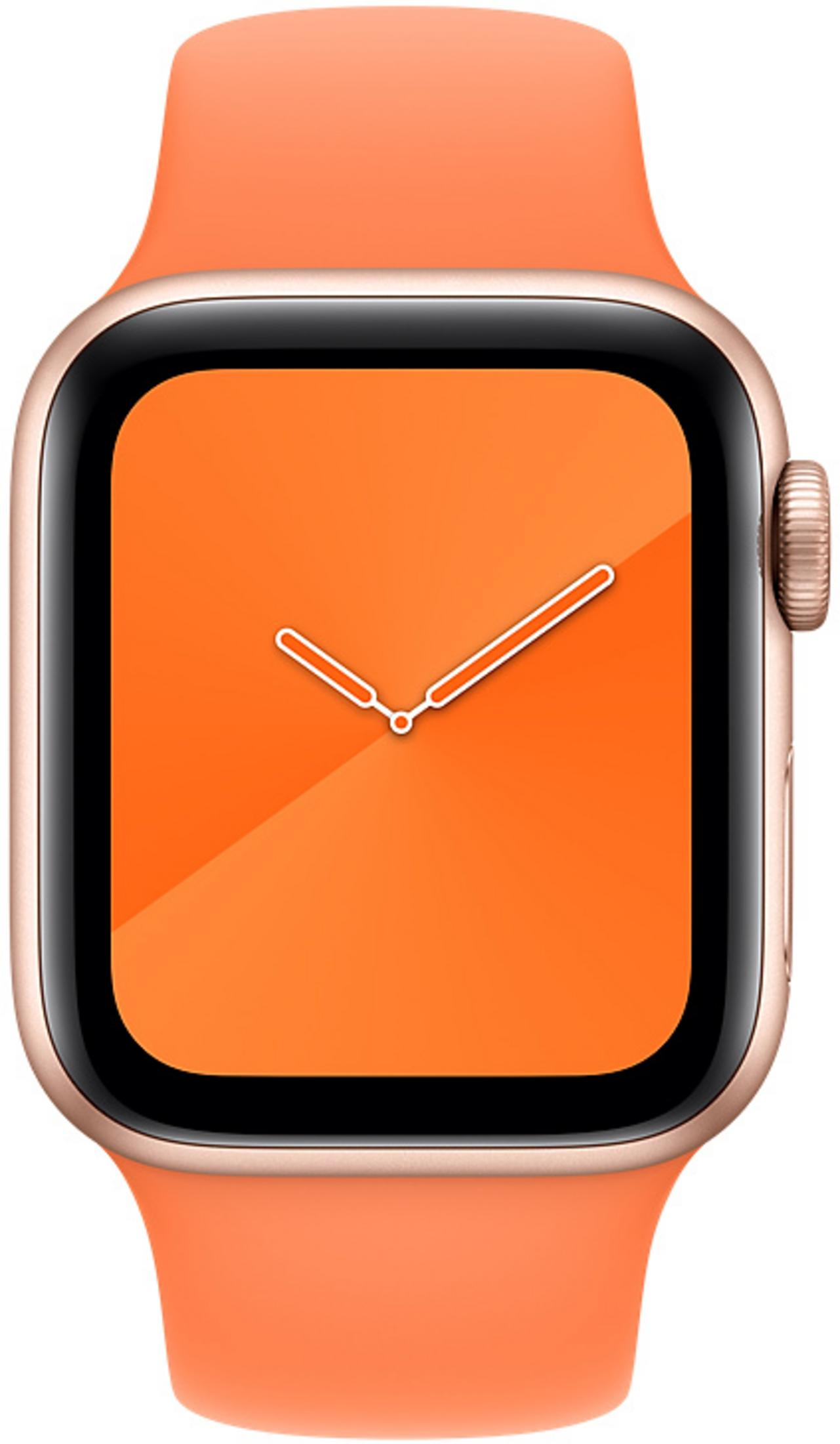 APPLE AW40 MXP42Z SPORT BAND VITAMIN C, Armband, Apple, Watch (40 mm ...