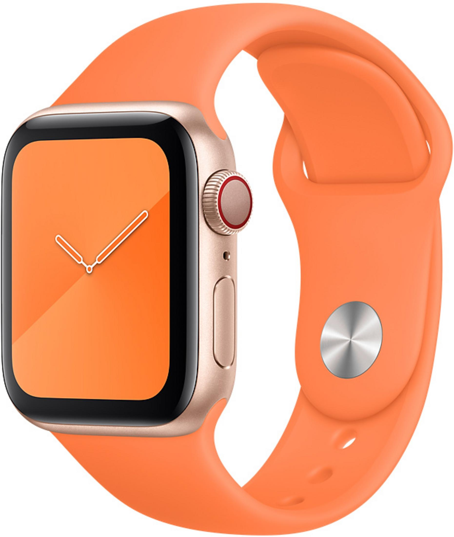 APPLE AW40 MXP42Z SPORT BAND VITAMIN C, Armband, Apple, Watch (40 mm ...