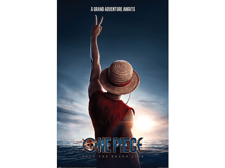 One Piece | Live Action 2 - Luffy - 61x91,5 cm | SATURN