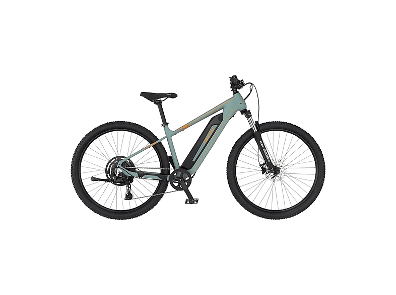 FISCHER EMTB MONTIS 2.2 ACTIVE Pinien matt, 29 Zoll, RH Mountainbike ...