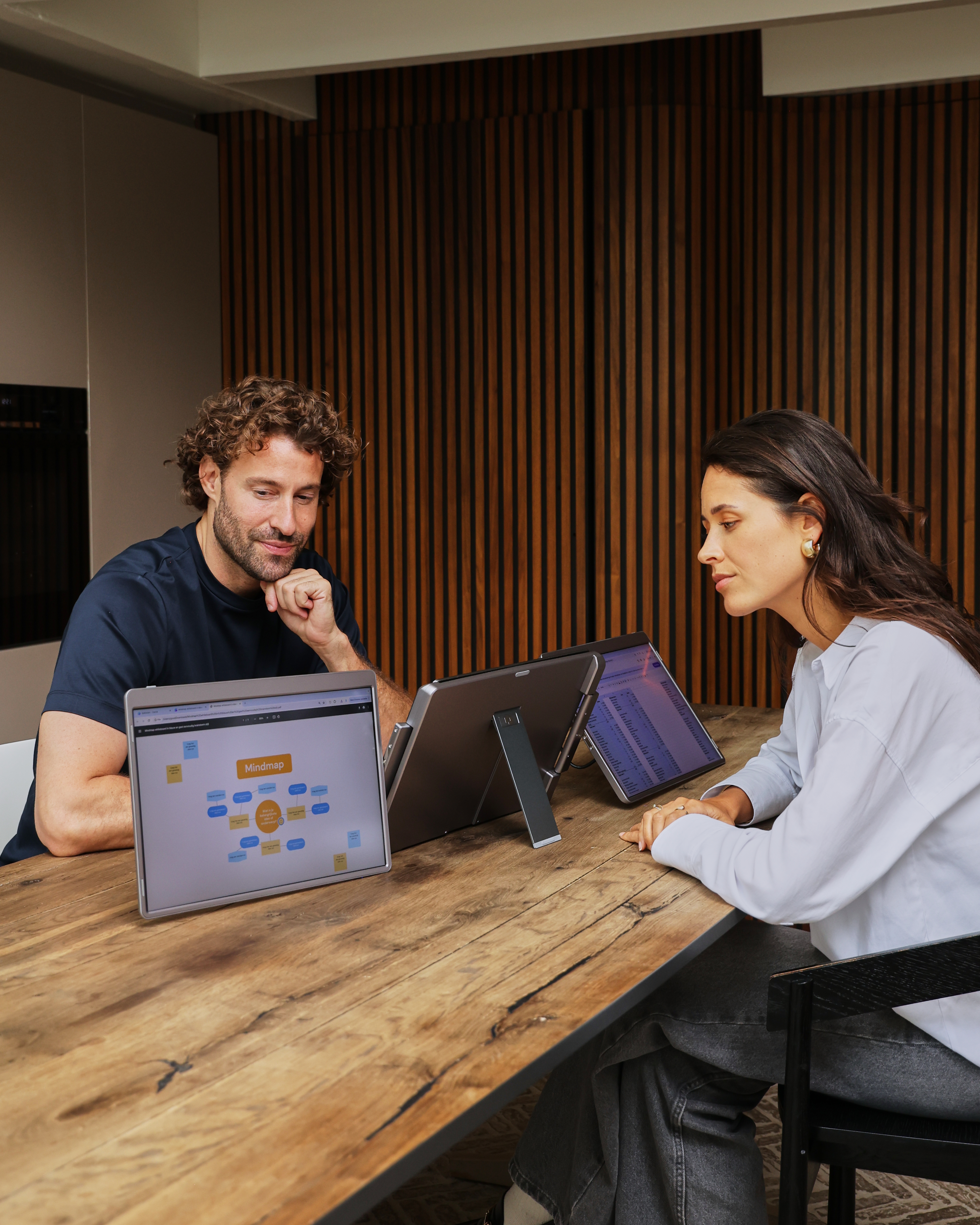 SCREENMATE Dual Flip | 16 inch - 2560 x 1600 (WQXGA) - IPS (In-Plane ...