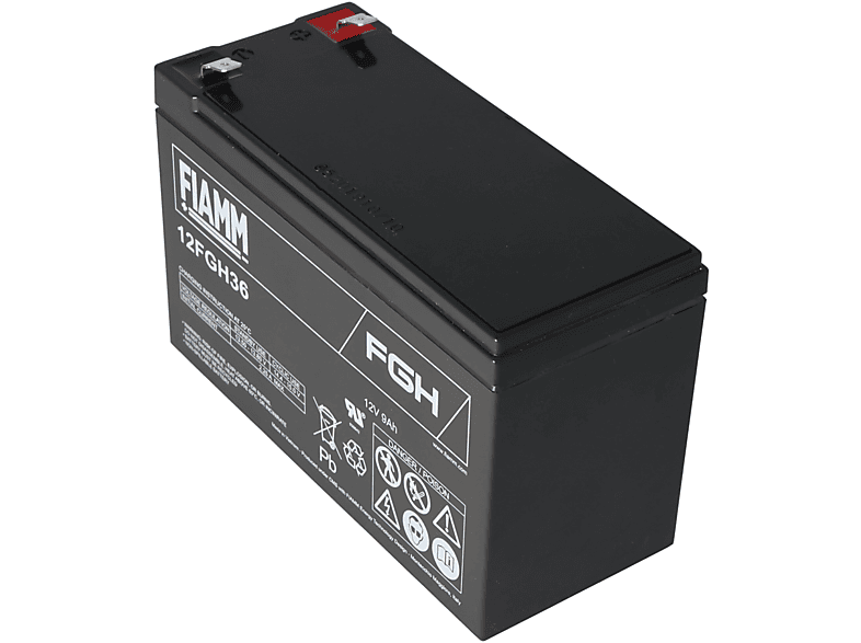 FIAMM Fiamm 12FGH36 Akku PB Blei Akku Pb – Blei Bleiakku, 9000 mAh ...