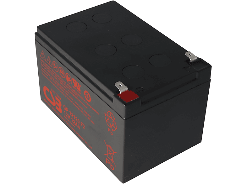 CSB CSB-GP12120F2 12 Volt VdS AGM Bleiakku 12Ah, 151x9 Pb – Blei ...