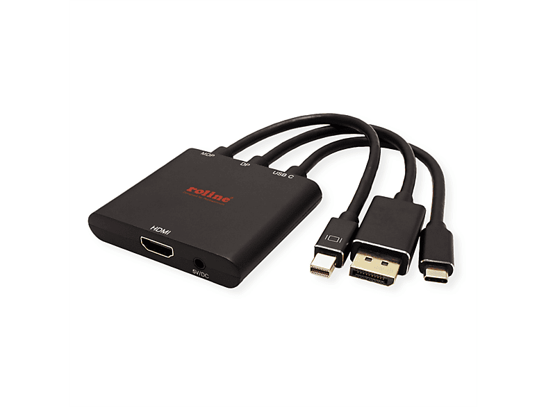 ROLINE Adapterkabel Mini DisplayPort / DisplayPort / Typ C | HDMI Mini ...