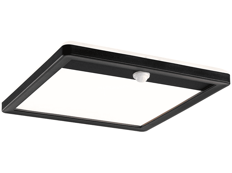 PAULMANN LICHT Lamina (94665) Hauswandleuchte Universalweiß | MediaMarkt