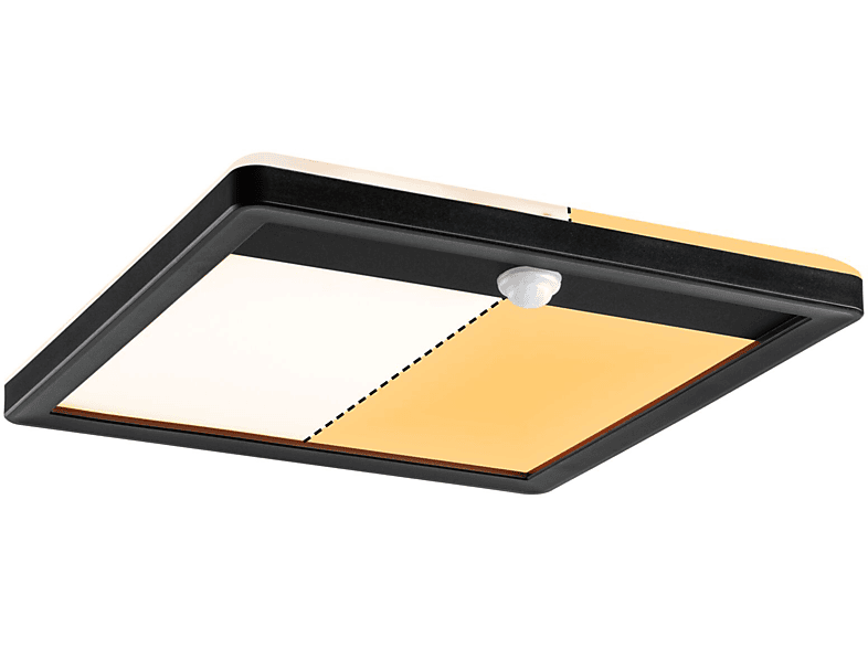 PAULMANN LICHT House (94709) Hauswandleuchte Gold, Warmweiß | SATURN