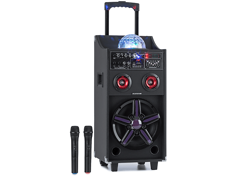 AUNA PRO DisGo Box 100 Mobile PA-Anlage, Schwarz | MediaMarkt