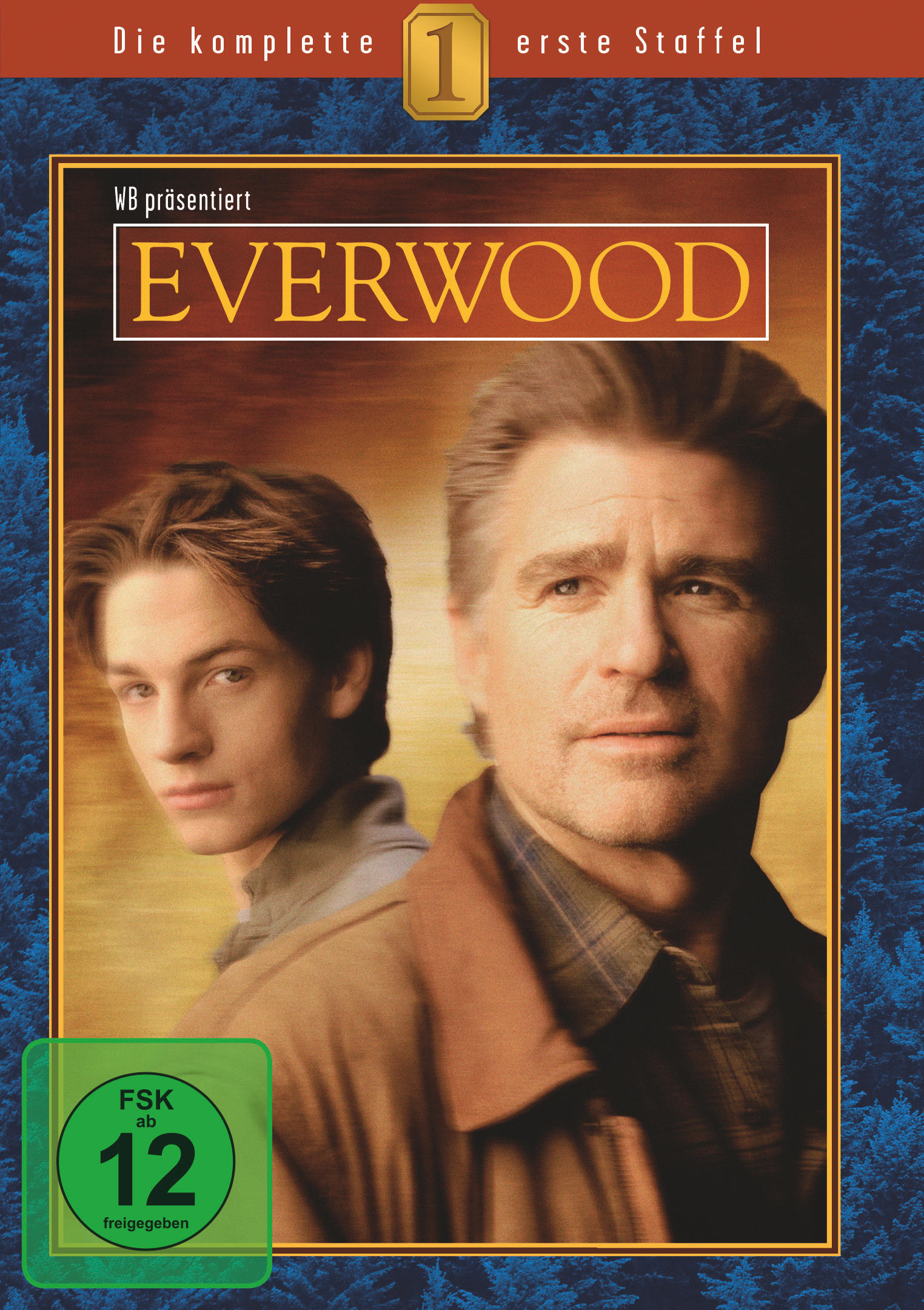 Everwood | Staffel 1 DVD | MediaMarkt