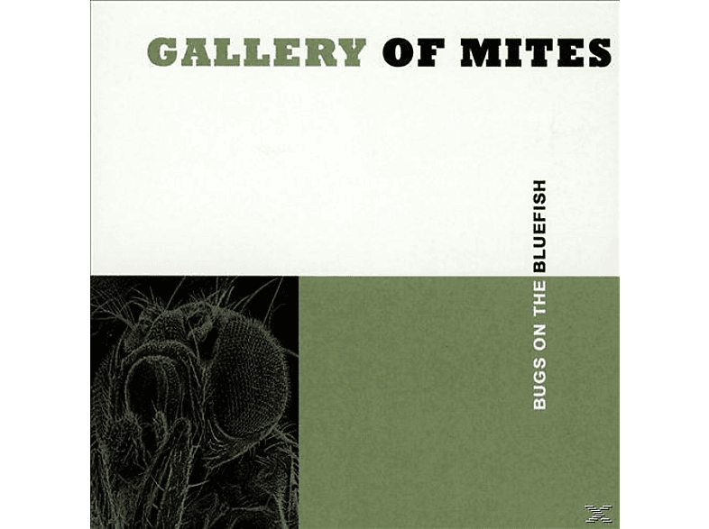 Gallery Of Mites | Gallery Of Mites - BUGS ON A BLUEFISH - (CD) Rock ...
