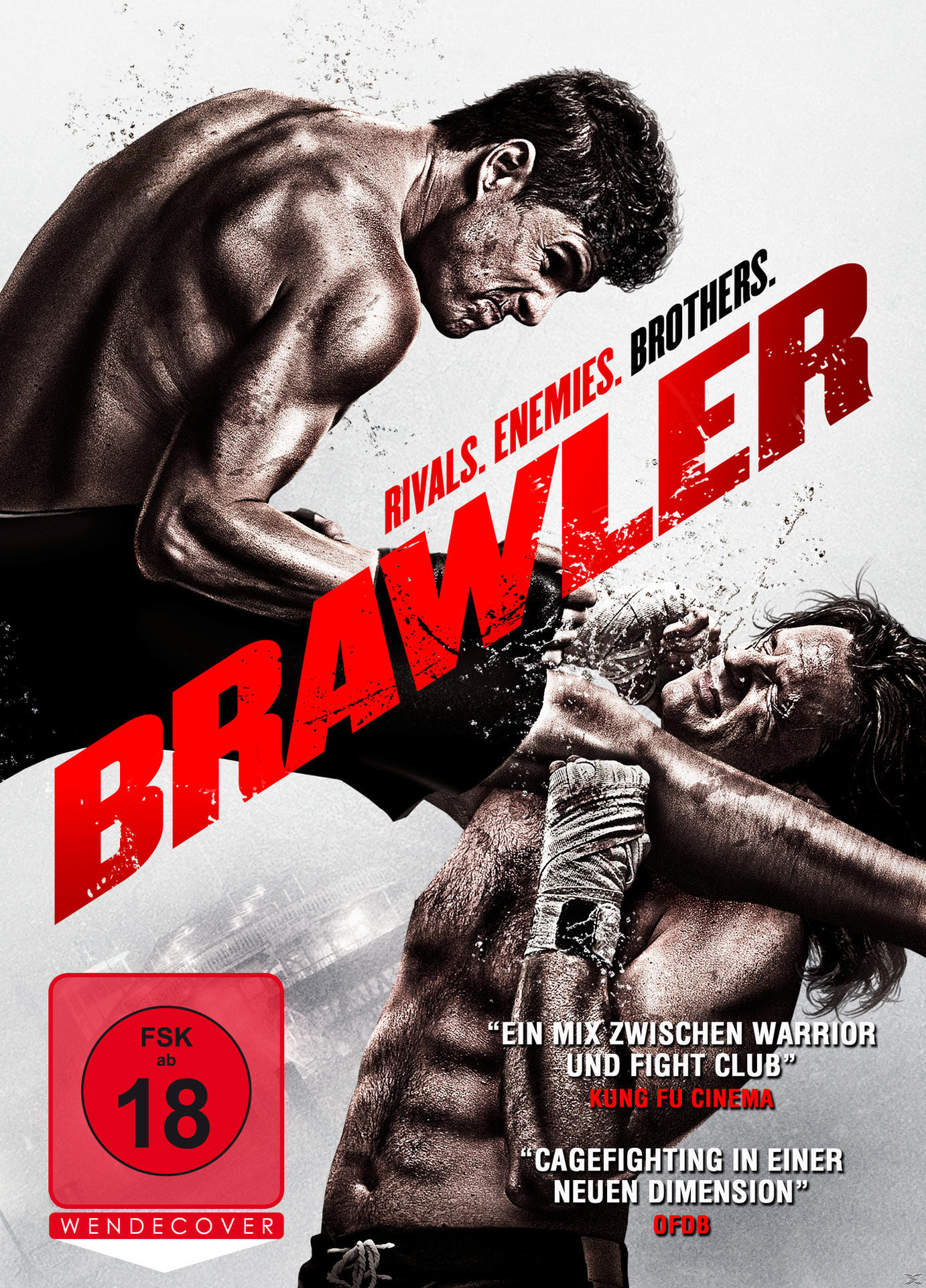 Brawler DVD online kaufen | MediaMarkt