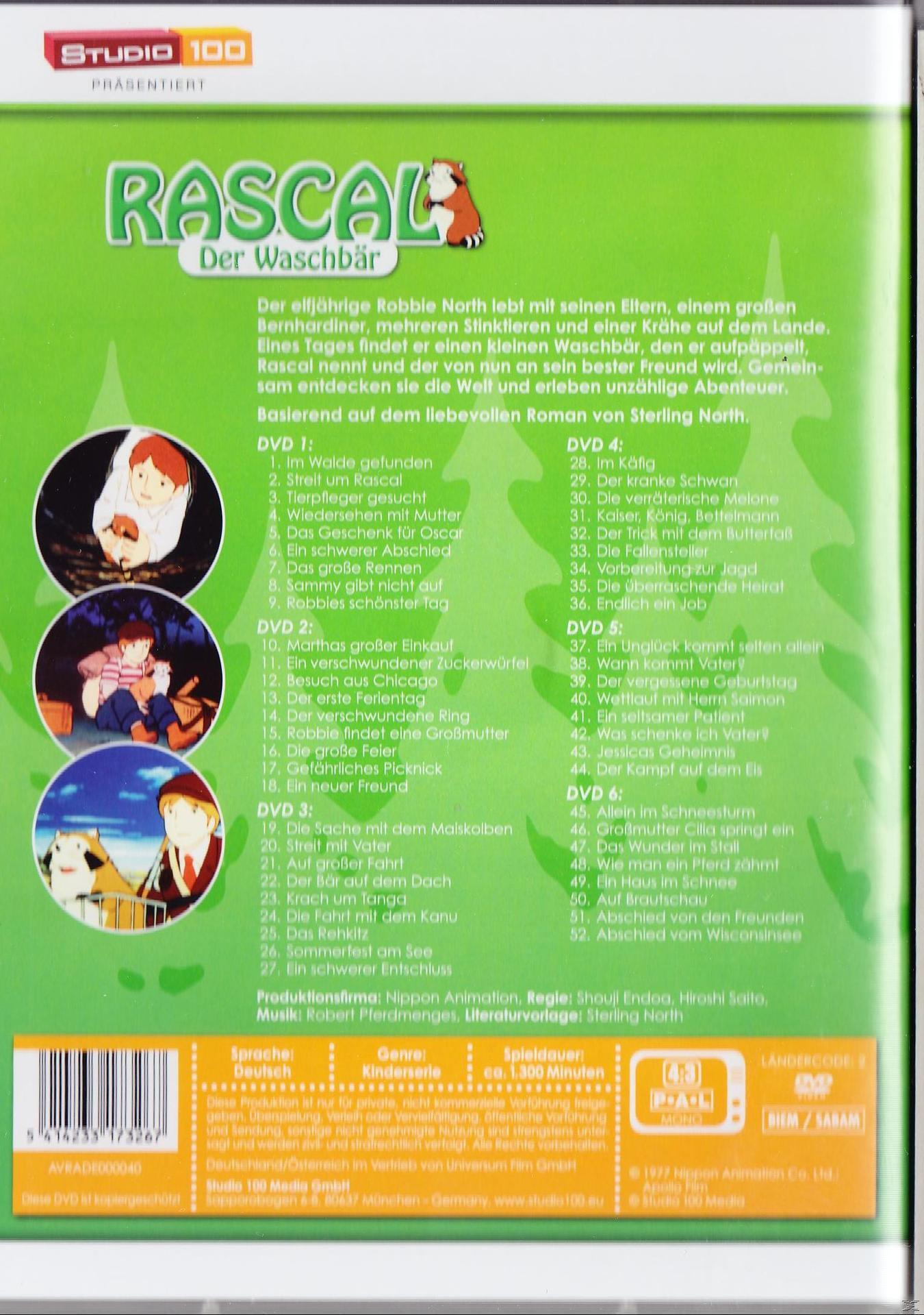Rascal der Waschbär Komplettbox DVD | MediaMarkt