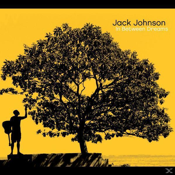 Jack Johnson | In Between Dreams CD CD