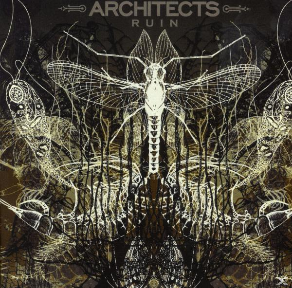 Architects | Ruin - (CD EXTRA/Enhanced) Architects auf CD EXTRA ...