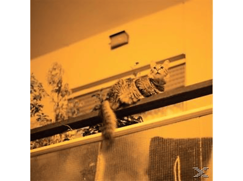 Sam Prekop | The Republic - (CD) | SATURN