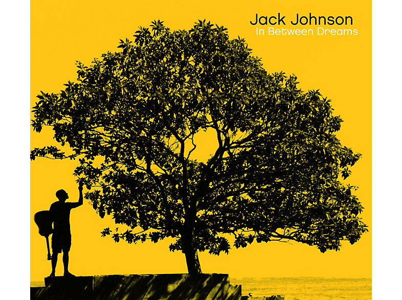 Jack Johnson | In Between Dreams (LP) [Vinyl] online kaufen | MediaMarkt