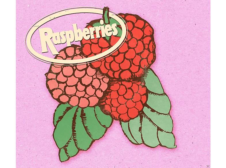Raspberries | Raspberries - Classic Album Set - (CD) Rock CDs - MediaMarkt