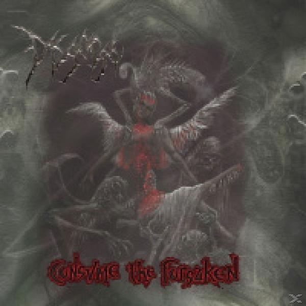 Disgorge | CONSUME THE FORSAKEN - (CD) Disgorge auf CD online kaufen ...