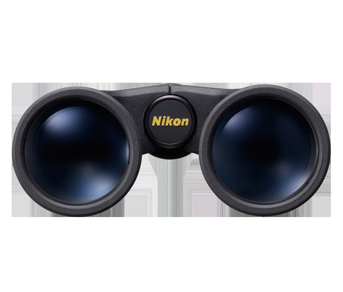 Nikon prostaff 3s 10x42 store